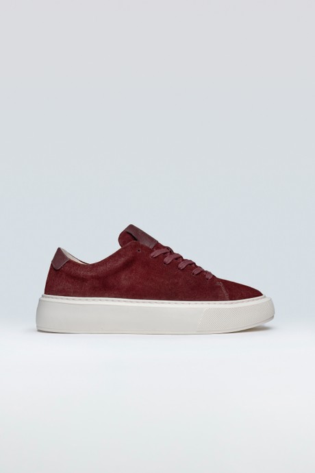 Sneaky Steve - Officiell webshop